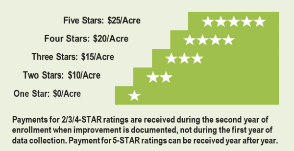 STAR Producer Rewards Programs - STAR